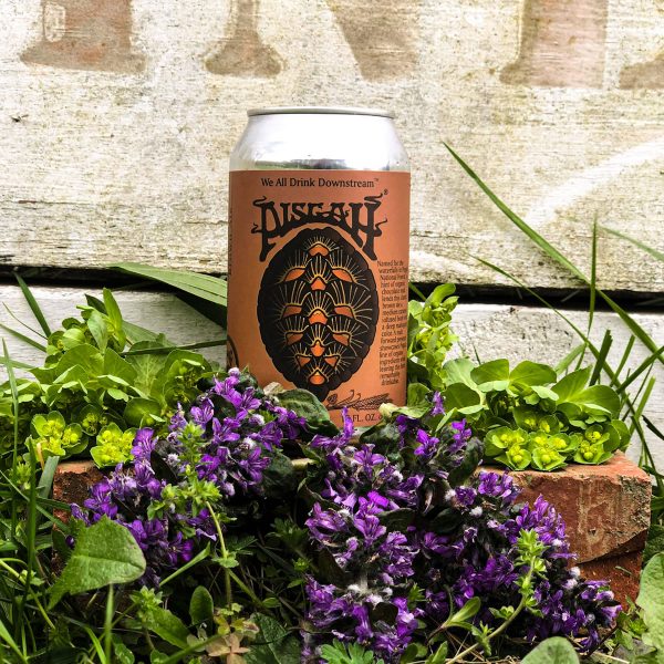 Turtleback Brown Ale – Pisgah Brewing Company